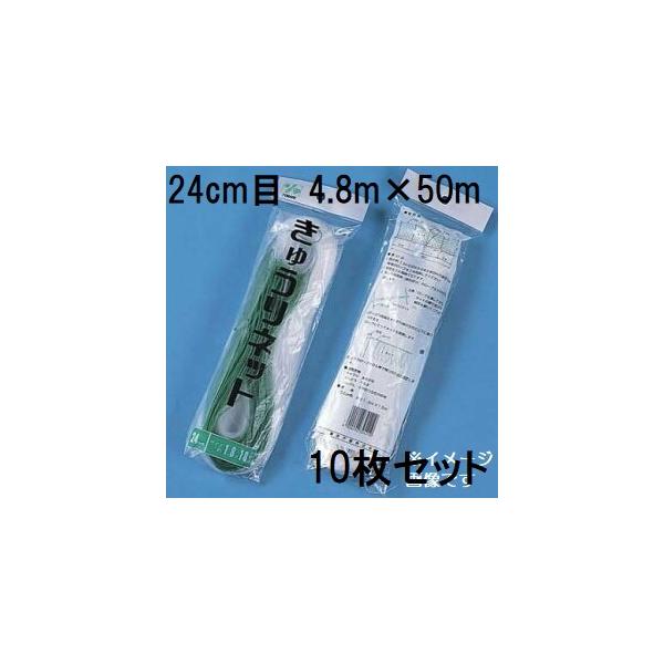 ※画像はイメージです。主な用途：家庭菜園、つる物栽培◎通風、採光が良く、良果が得られます。◎摘芯、整枝、誘引が楽になります。◎網糸は強く、腐りません。◎品質は抜群、安心して使用できます。メーカー直送品のため代引決済はご利用いただけません。北...