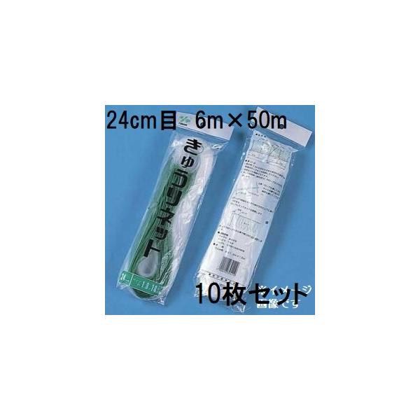 ※画像はイメージです。主な用途：家庭菜園、つる物栽培◎通風、採光が良く、良果が得られます。◎摘芯、整枝、誘引が楽になります。◎網糸は強く、腐りません。◎品質は抜群、安心して使用できます。メーカー直送品のため代引決済はご利用いただけません。北...