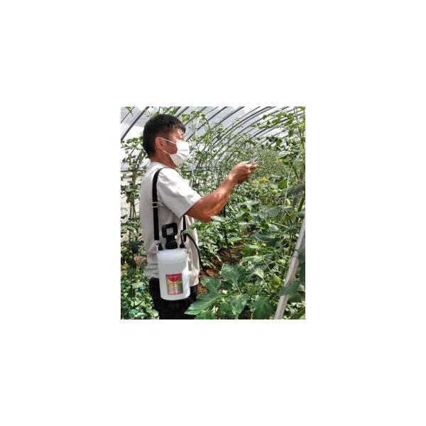 ◎ワンタッチレバーコック◎ホースねじれ防止に「ヨリモドシ」付き◎ニギリ内フィルター付◎トマトトーン、ジベレリン、Bナイン処理に最適重量：1.2kg容量：2.5Lノズル：200mm沖縄県、離島への送料は見積りになります。スマートフォンからご注...