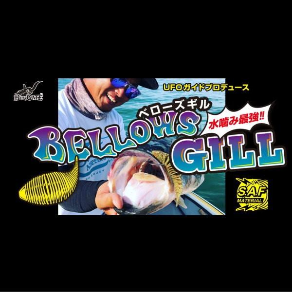 FECO認定商品ボディー全体がリブ形状になっていることにより魚が口にした時、違和感なく奥まで吸い込んでしまう。全身リブ形状にすることにより、最強の水噛みと、しっかりとした波動、ナチュラルなアクションを手に入れた。オリジナルのS.A.Fマテリ...