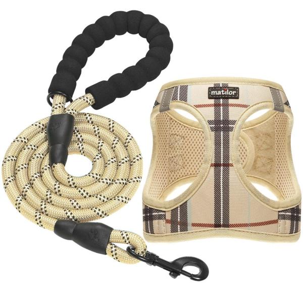 【発売日：2022年12月10日】