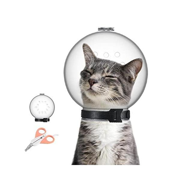 【発売日：2022年02月05日】