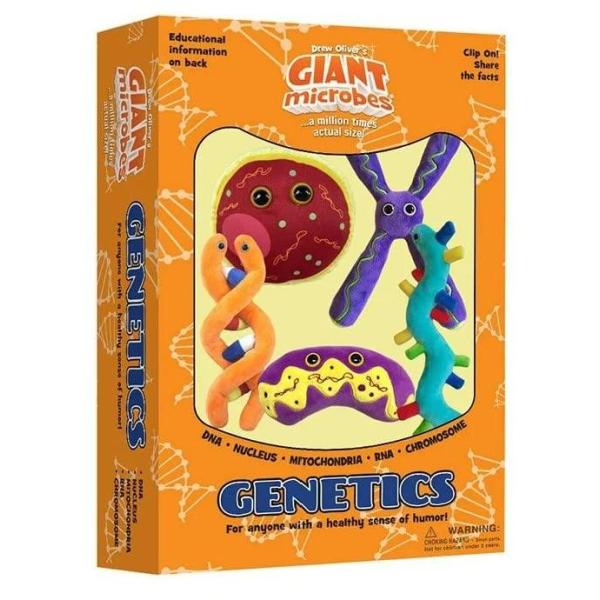 【発売日：2022年07月07日】