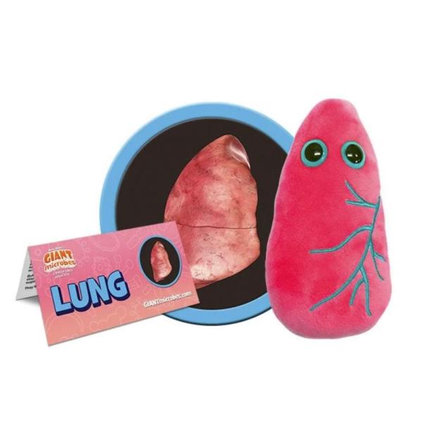 【発売日：2019年08月11日】