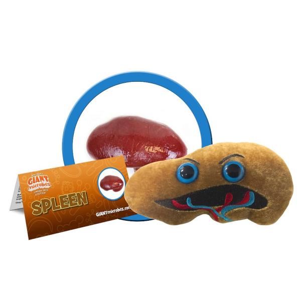 【発売日：2020年09月17日】