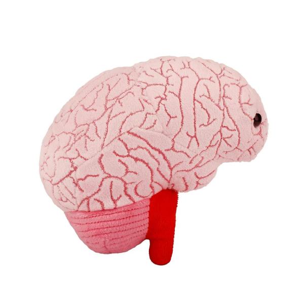 【発売日：2018年01月17日】