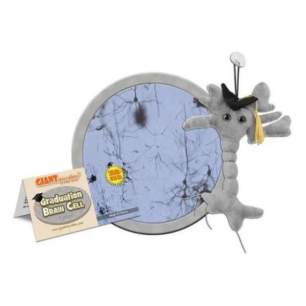 【発売日：2011年05月23日】