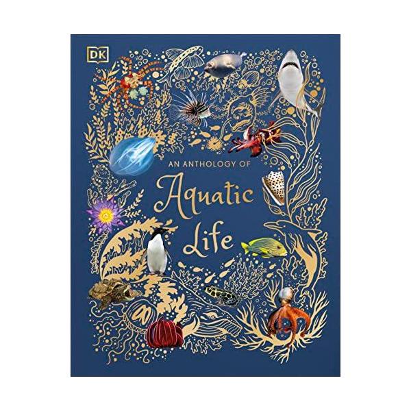 【発売日：2022年01月26日】