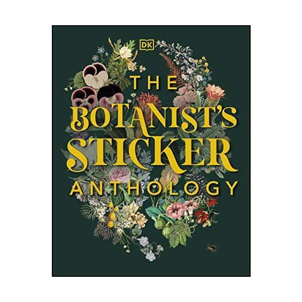 【発売日：2020年08月28日】