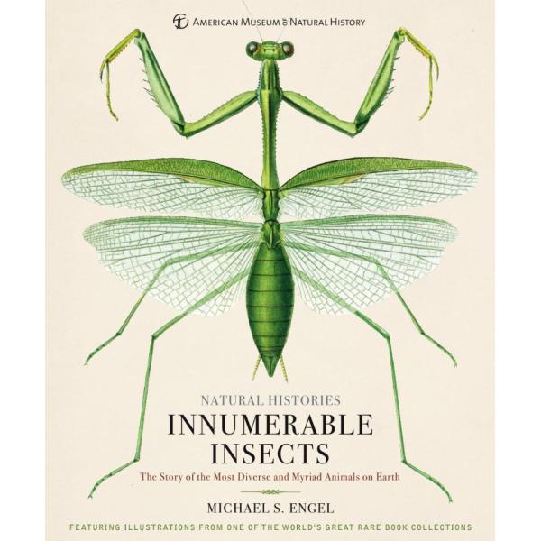 【発売日：2018年04月24日】