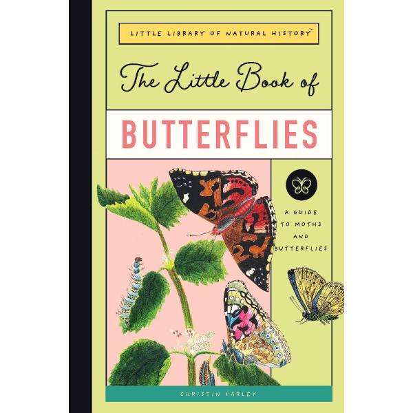 【発売日：2022年03月12日】