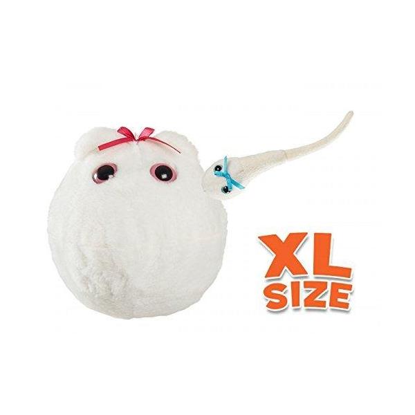 【発売日：2016年07月22日】