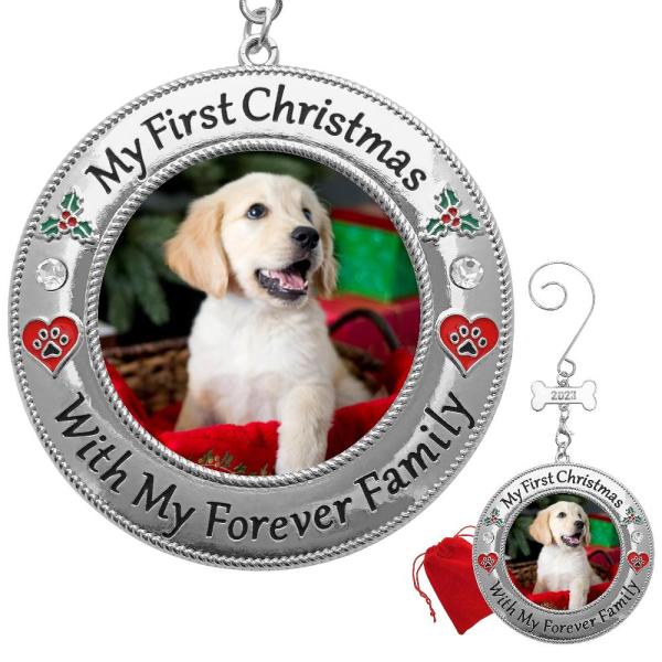 【発売日：2021年03月07日】