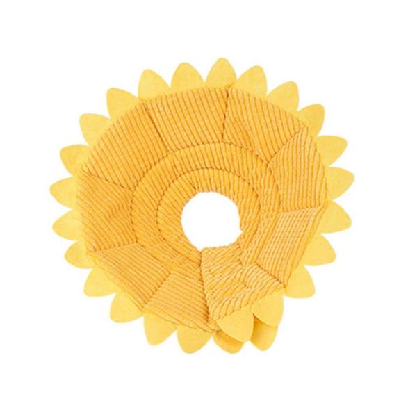 【発売日：2024年02月09日】