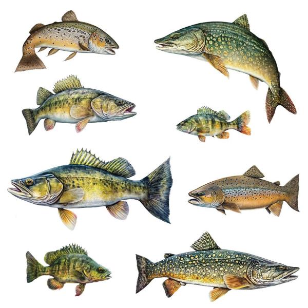 【発売日：2023年03月26日】