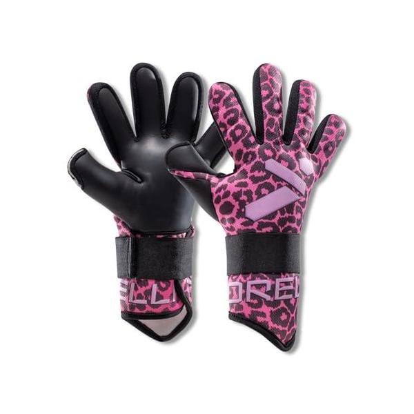 【発売日：2023年12月20日】