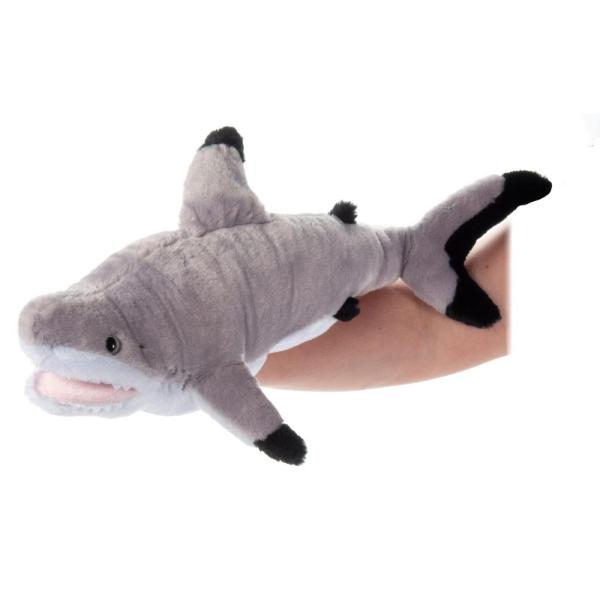 【発売日：2023年04月27日】