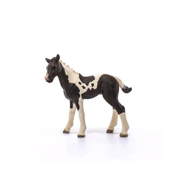 【発売日：2024年03月09日】