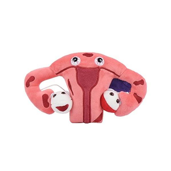 【発売日：2021年07月28日】