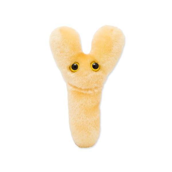 【発売日：2011年09月12日】