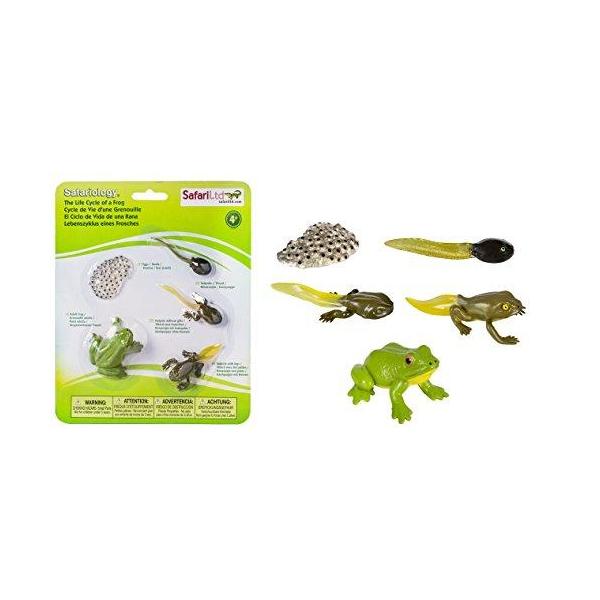 【発売日：2010年03月25日】Make sure this fits by entering your model number.naImportedParents and teachers now have a way to teac...