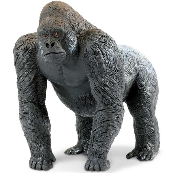 【発売日：2008年01月24日】Make sure this fits by entering your model number.BRILLIANT BOYS: Did you know that silverback gorillas...