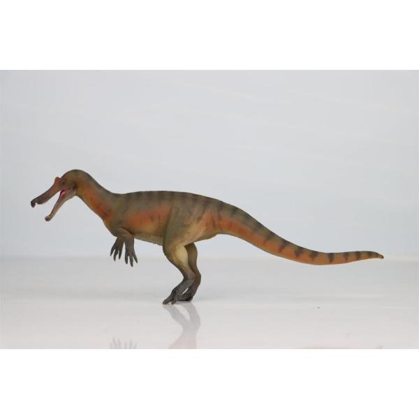 【発売日：2024年07月12日】