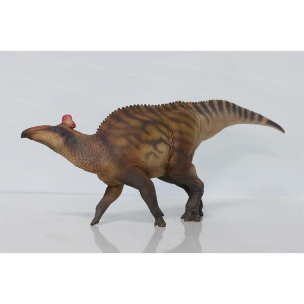 【発売日：2024年01月17日】