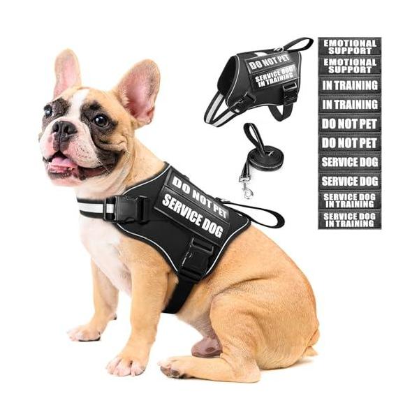 【発売日：2023年09月20日】