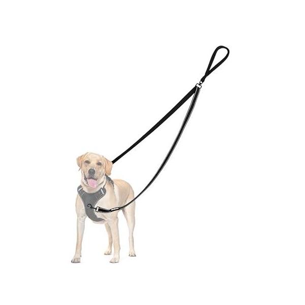 【発売日：2024年06月04日】