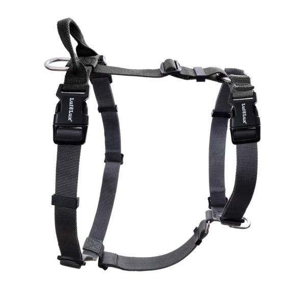 【発売日：2023年08月03日】