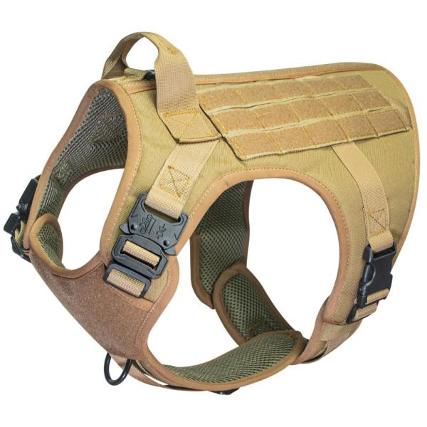 【発売日：2024年04月08日】