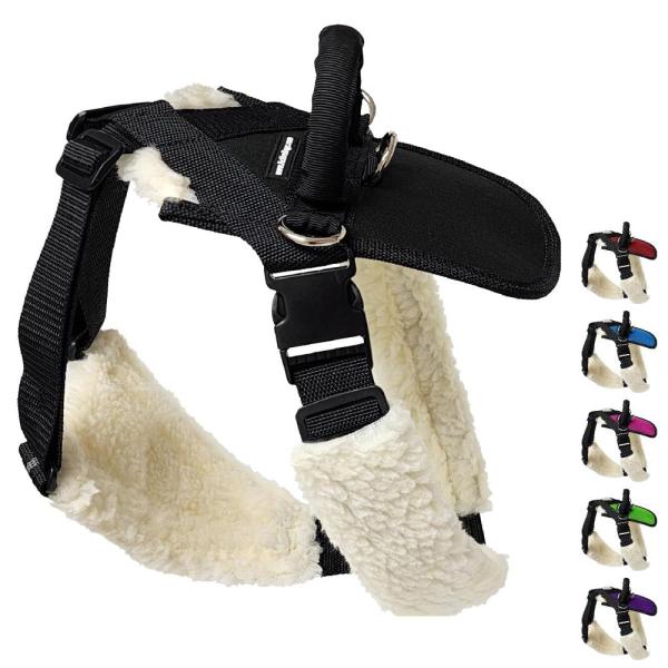 【発売日：2020年11月29日】