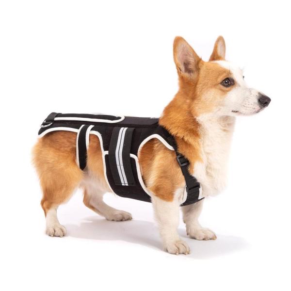 【発売日：2022年01月20日】