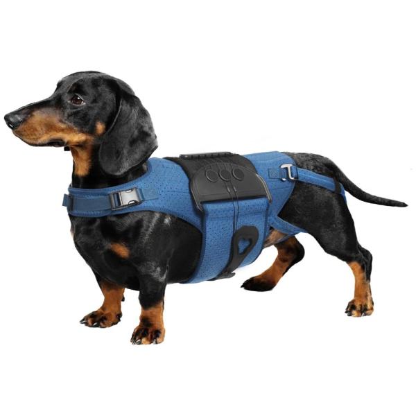 【発売日：2024年12月23日】