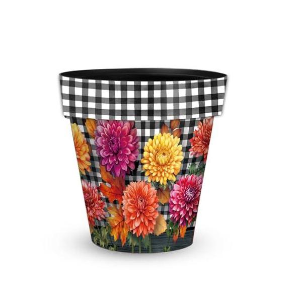 【発売日：2024年10月29日】