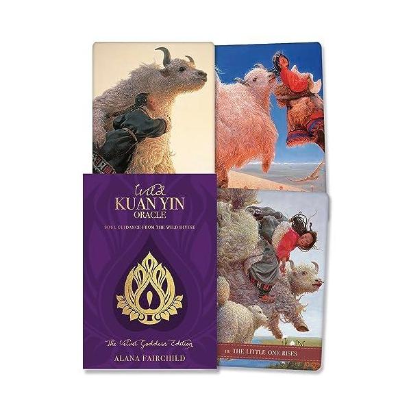 【発売日：2022年01月22日】