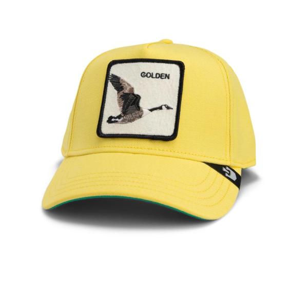 【発売日：2025年02月05日】