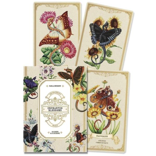 【発売日：2019年02月23日】