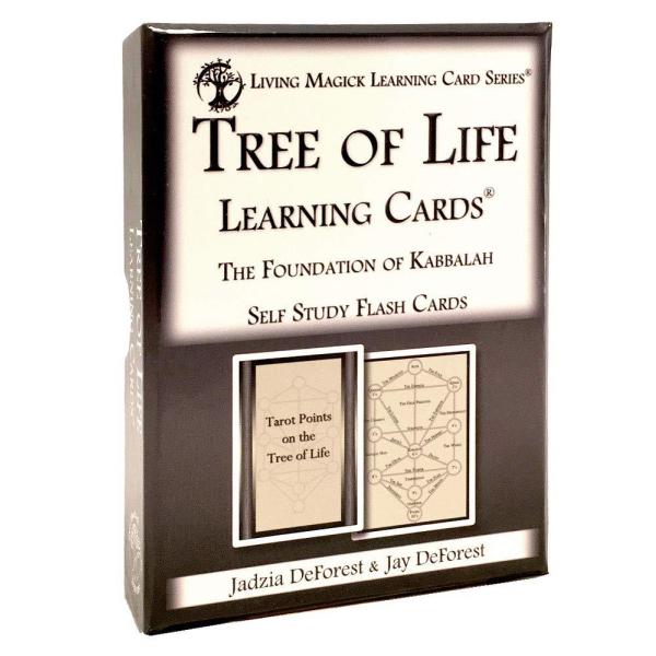 【発売日：2020年11月13日】