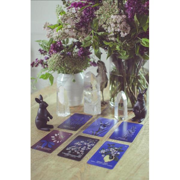 【発売日：2024年04月23日】