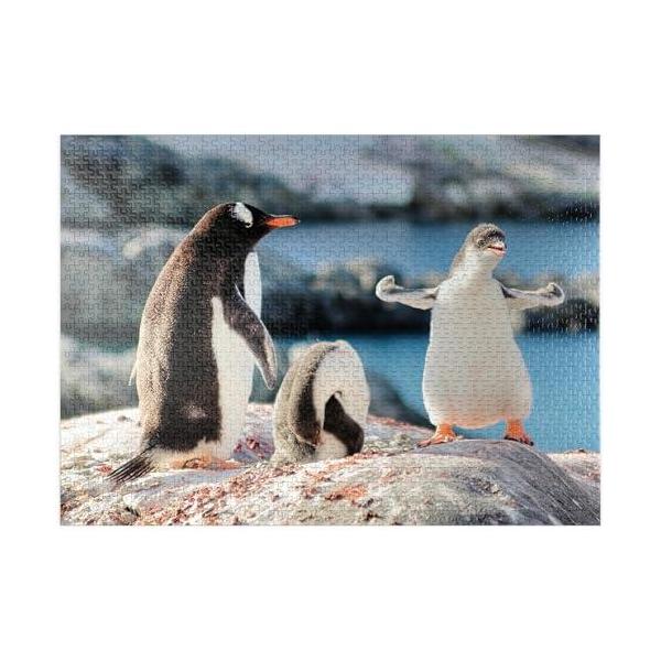 【発売日：2022年09月20日】