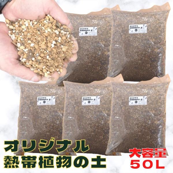 毎年、プルメリアなどの熱帯植物を買うけど必ず冬越しに失敗してしまう方って本当に多いです。ほとんどの方が枯らしてしまった原因は「寒すぎた」と言われますが、確かにプルメリアは寒いのは苦手ですが、実は...原因は植えかえた「土」のせいだったりする...