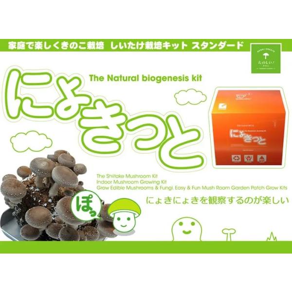 「にょきっと」とは…四国の山から切り出された原木のおが粉と穀物を主原料とした栄養素を混ぜてブロック状にした菌床に、しいたけの菌を植えて3か月以上培養した完熟菌床です。 ご家庭で簡単にしいたけを栽培・収穫することができます。