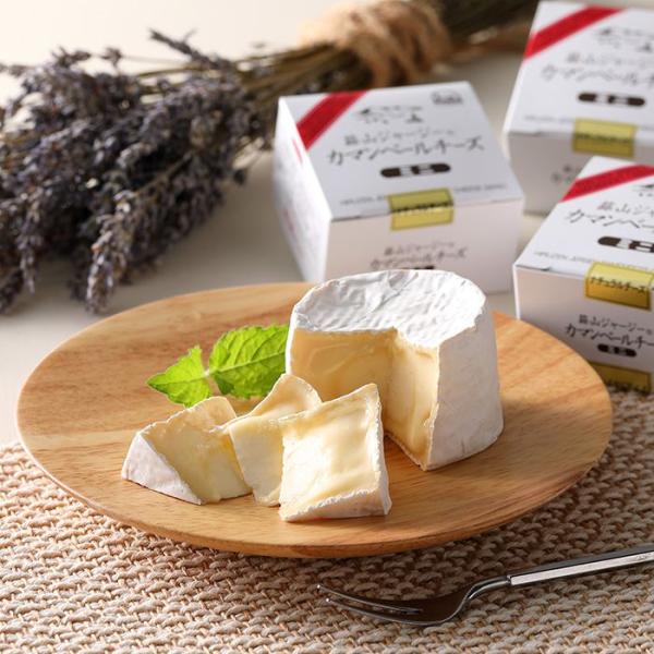 ジャージー乳を使用した熟成によるまろやかさとコクが特長のゴーダチーズと、クリーミーに熟成される生タイプ（白カビの酵素・乳酸菌が生きている）のカマンベールチーズのセットです。
