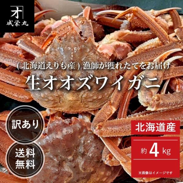 「量より質」の漁を行う目利きの漁師が自信を持ってお届けする、北海道えりも産のオオズワイガニ。飲食店はもちろん、一般のお客様へも高鮮度の海産物を食べていただきたい…。北海道の良さをより身近に感じられる品となっております。足もげや折れ、甲羅の傷...