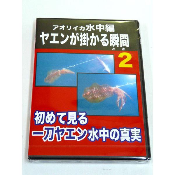 水中でのヤエンの掛かる瞬間が必見です！アオリと話が出来てこそヤエン釣法の面白さも倍増する！水中の出来事を良く研究し、知識を得ることが釣果につながる！■約70分