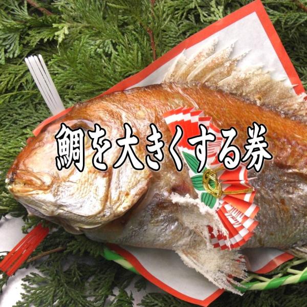 【お食い初めセット】天然焼き鯛サイズアップ券【単品購入不可】お食い初めセット・料理セットとともにご購入下さい。購入枚数によって、セットの天然真鯛の大きさを変更、大きくすることができます。【お食い初めセット】天然焼き鯛サイズアップ券