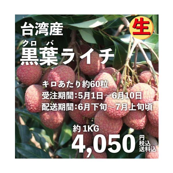 【発売日：2025年05月01日】黒葉ライチ　台湾産　1kg（目安約60粒）お届け時期：6月下旬〜7月初旬頃台湾産生ライチの季節がやってきます。台湾では昔から愛され続きている馴染み深い品種です。よくある冷凍ライチの品種ですが、やはり生のは全...