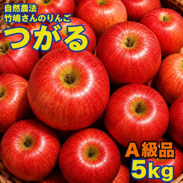 【発売日：2026年09月14日】■容量：約5kg（13個〜25個前後）　※A級品※冷蔵※沖縄発送別途送料2000円、九州地方送料別途1000円、四国中国地方送料別途300円加算となります。※重量は林檎の大きさによって前後します。「5kg箱...